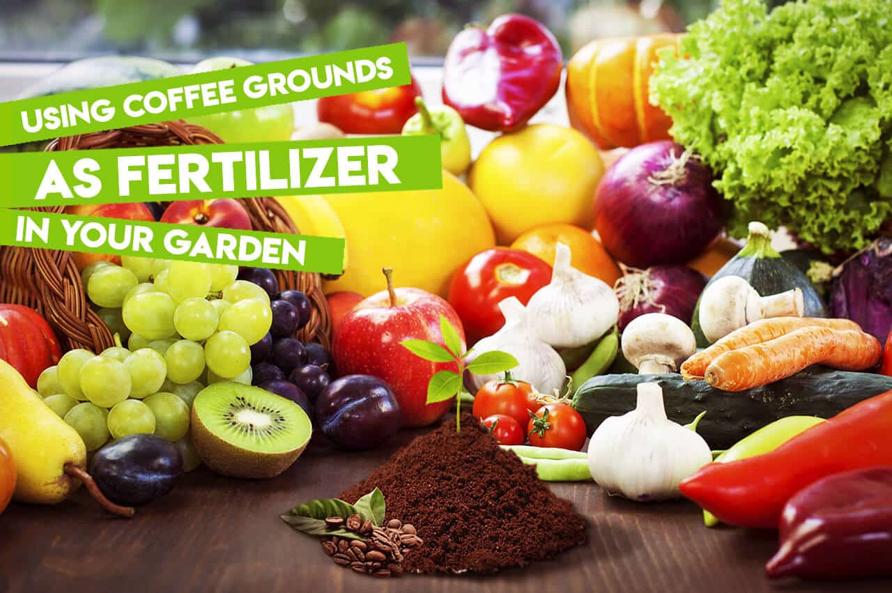 16 Uses for Old Coffee Beans - Creative with stale coffee