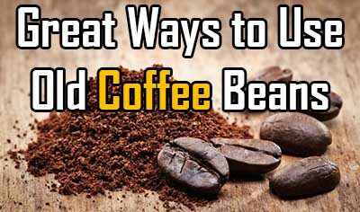 stale coffee beans uses | Gourmet Coffee 4 Coffee Lovers